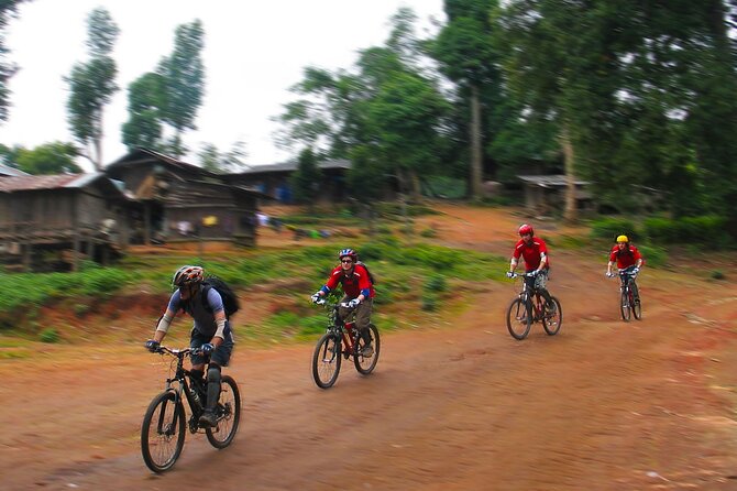 No.1 Chiang Mai: Epic Doi Suthep Downhill MTB Adventure - What the Reviews Tell Us