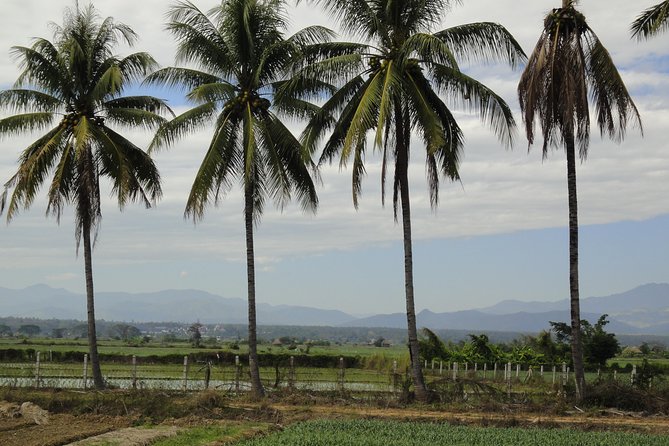 No.1 Chiang Mai: Leisure River Kayaking: Mae Taeng forest Reserve - Practical Tips for Travelers