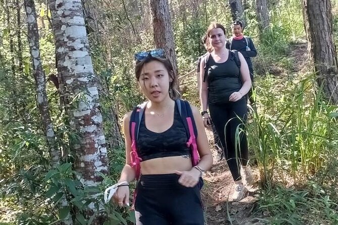 "No.1 Chiang Mai: Suthep N. Park Leisure walks & Mountain Biking" - Who Will Love This Tour?