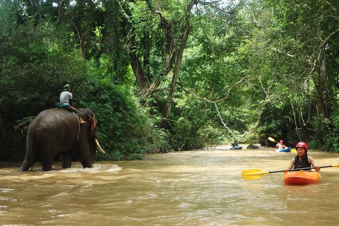 No.1 Chiang Mai : White Water Kayaking: Mae Wang Jungle River - Who Will Enjoy This Tour?