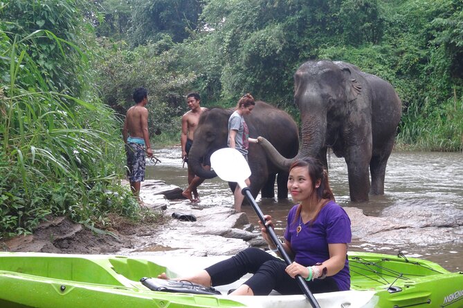 No.1 Chiang Mai : White Water Kayaking: Mae Wang Jungle River - FAQ
