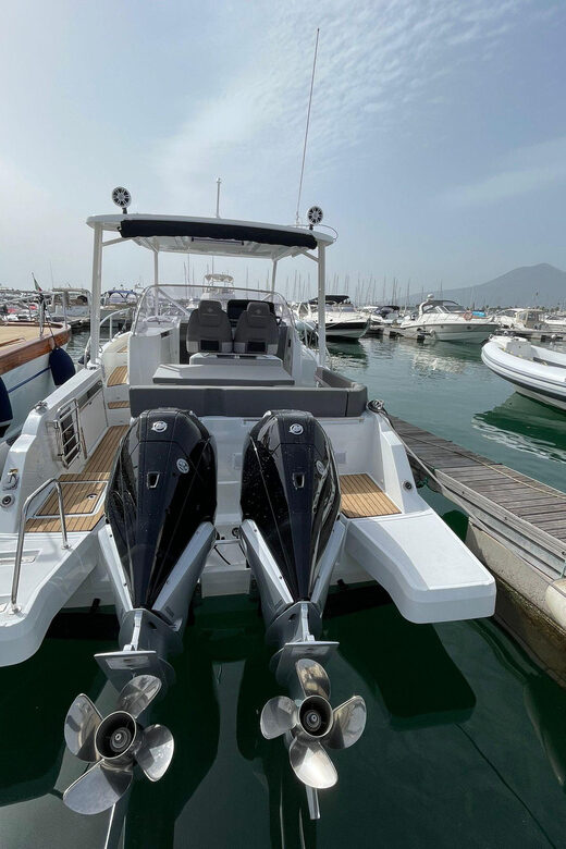 No More Sea Sick: Comfortably Stable Boat Tour from Sorrento - Value for Money