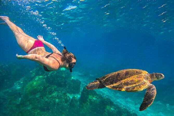 No Rush Morning & Afternoon 5 Stop Snorkeling tour for Koh Tao - Key Points