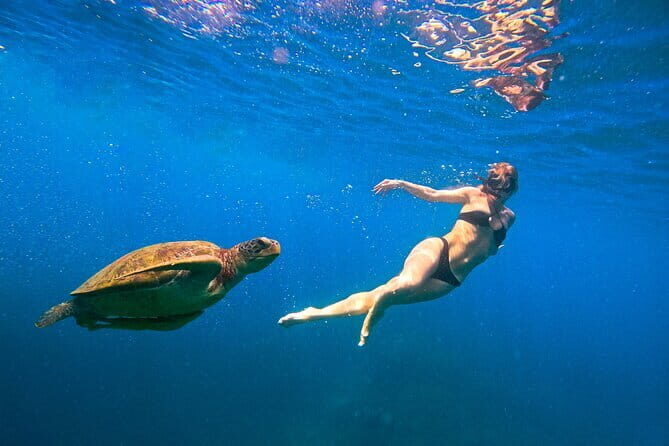 No Rush Morning & Afternoon 5 Stop Snorkeling tour for Koh Tao - Analyzing the Value and Who This Tour Is For