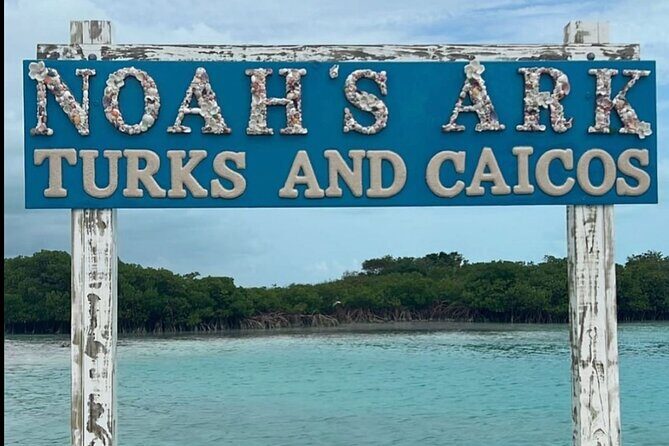 Noahs Ark Catamaran Trip - What to Expect on the Tour