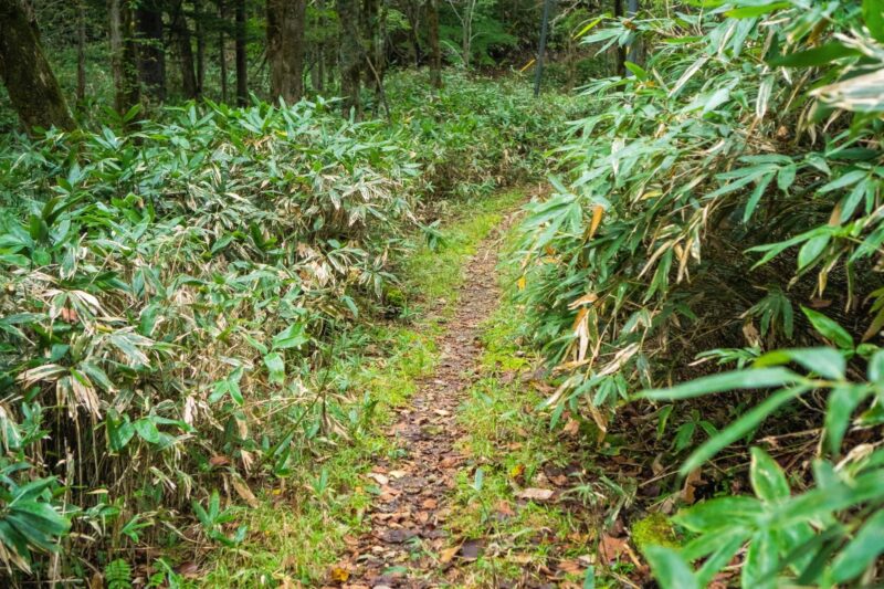 Noboribetsu: Lake Tachibana Hiking - Group Size and Language Support