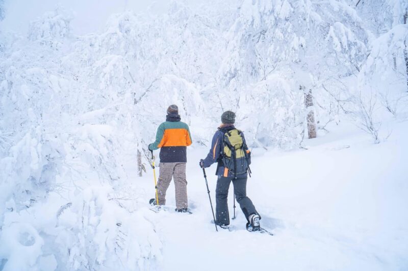 Noboribetsu: Orofure Pass Snowshoeing Tour - Whats Included