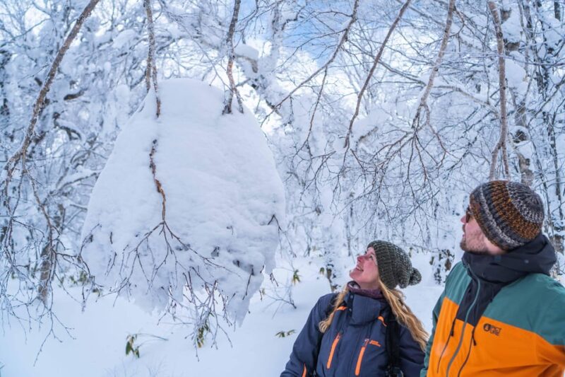 Noboribetsu: Orofure Pass Snowshoeing Tour - Important Information