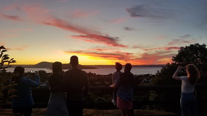 Nocturnal adventure Glow-worm tour - The Practicalities: What You Need to Know