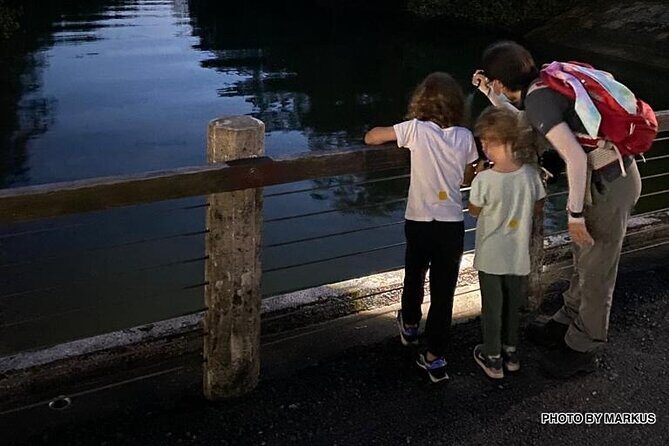 Nocturnal Secrets: A Mangrove Adventure - FAQs