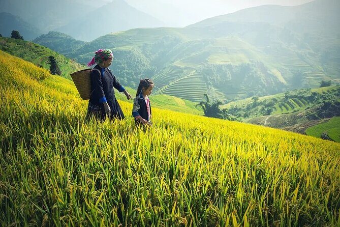 Noi Bai airport transfer by luxury Limousine Bus to Sapa from Hanoi - Authentic Experiences and Real Feedback