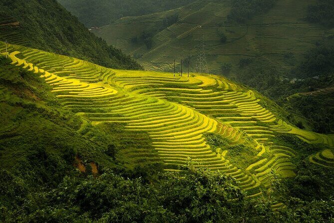 Noi Bai airport transfer by luxury Limousine Bus to Sapa from Hanoi - Final Thoughts