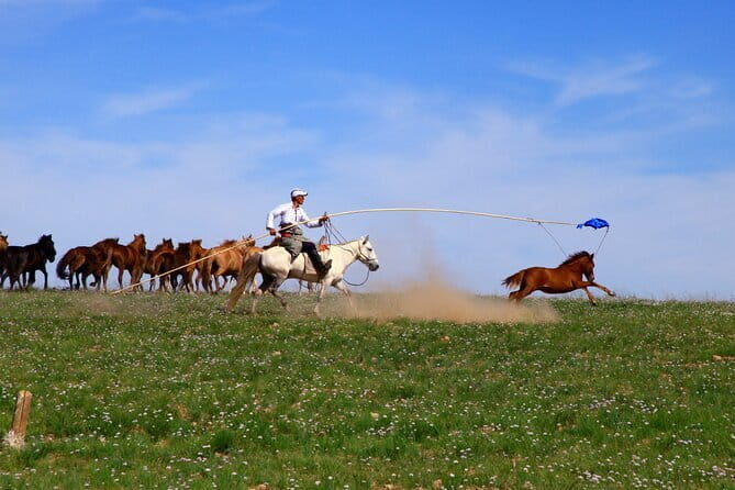 Nomad Ride - A Full-Day Journey into Mongolia’s Heartland
