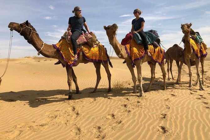 Nomadic Non-Touristic Overnight Tour & camel Safari - Final Thoughts