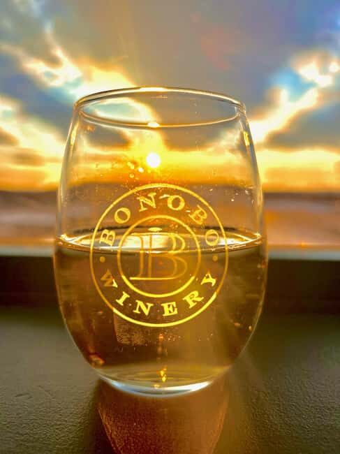 NON BUS 3 Winery Old Mission Peninsula Sunset Wine Tour - An In-Depth Look at the Tour Experience