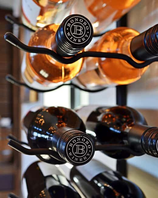 NON BUS Sunday Funday Traverse City Old Mission Wine Tour - Experience the Best of Traverse City’s Old Mission Peninsula Without the Bus Noise