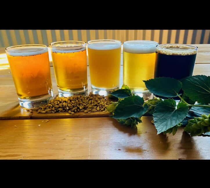 NON BUS Traverse City IPA, Beer, Distillery and Wine Tour - What Makes It Special