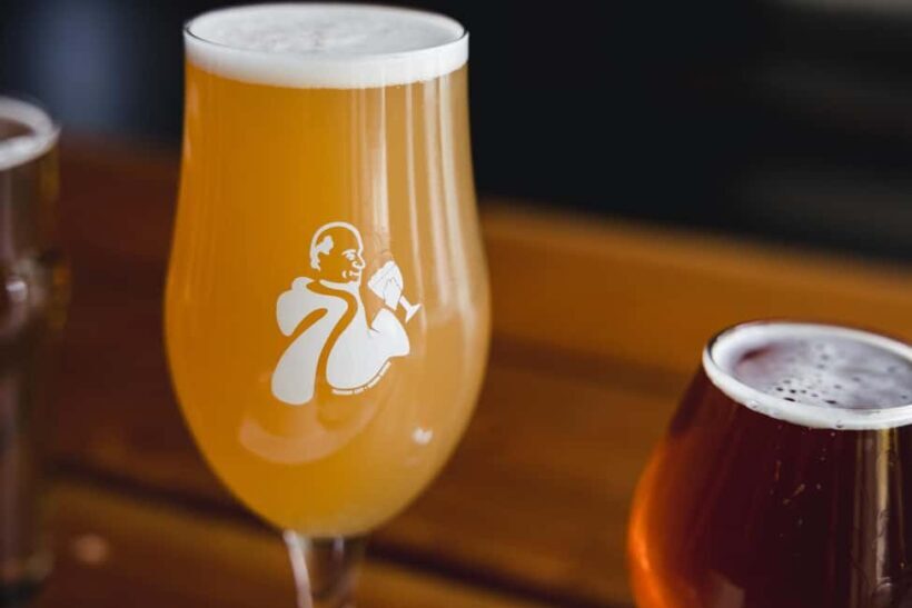 NON BUS Traverse City IPA, Beer, Distillery and Wine Tour - Who Should Consider This Tour?
