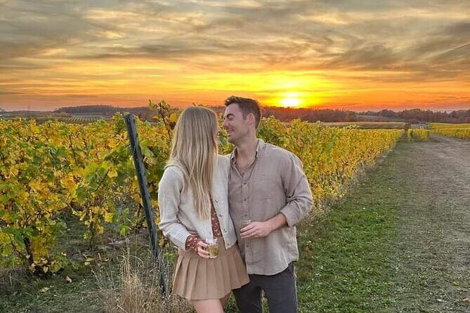 Non Bus Traverse City Leelanau Peninsula Sunset Wine Tour - Who Will Love This Tour?