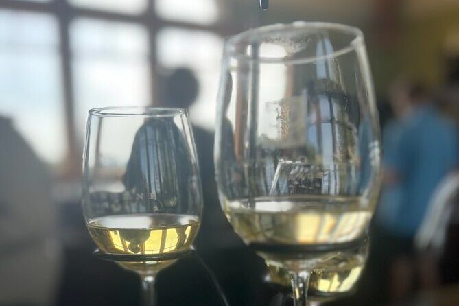 NON BUS Traverse Sunset Wine Tour 3 Winery Old Mission Peninsula - The Real Value