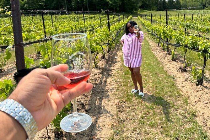 NON BUS Traverse Sunset Wine Tour 3 Winery Old Mission Peninsula - The Sum Up