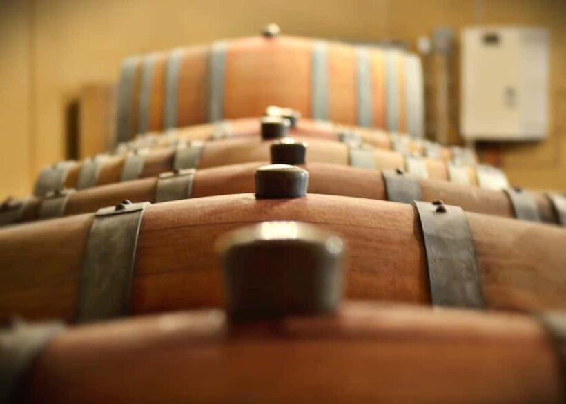 NON BUS White Wine Lover Old Mission Traverse City Wine Tour - FAQ