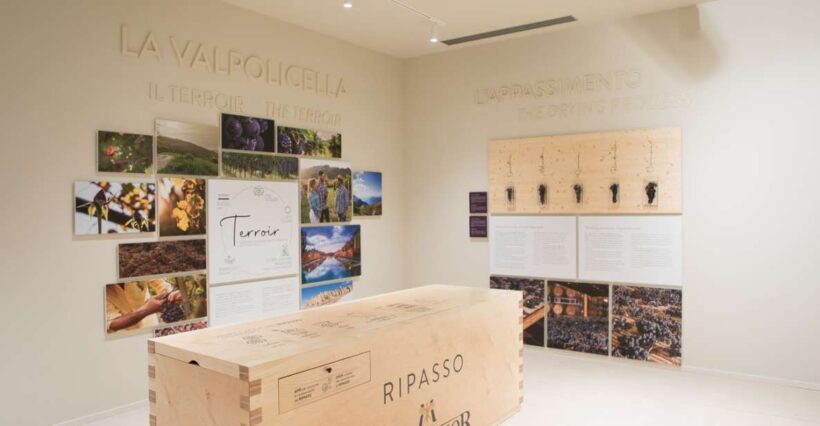 Non guided tour of the wine museum and amarone tasting - What to Expect During the Visit