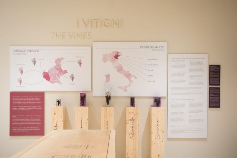 Non guided tour of the wine museum and amarone tasting - The Itinerary in Detail