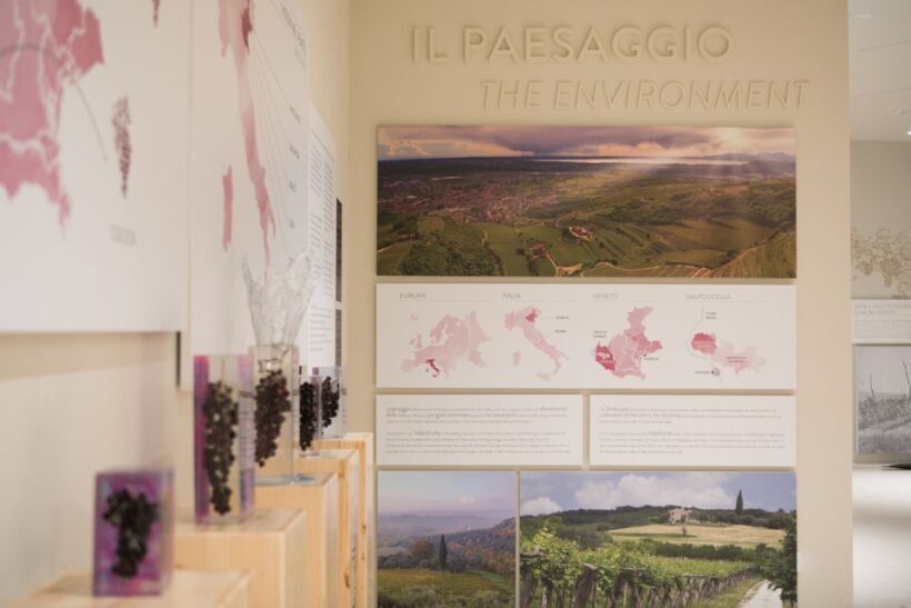 Non guided tour of the wine museum and amarone tasting - Authentic Experiences and Unique Selling Points