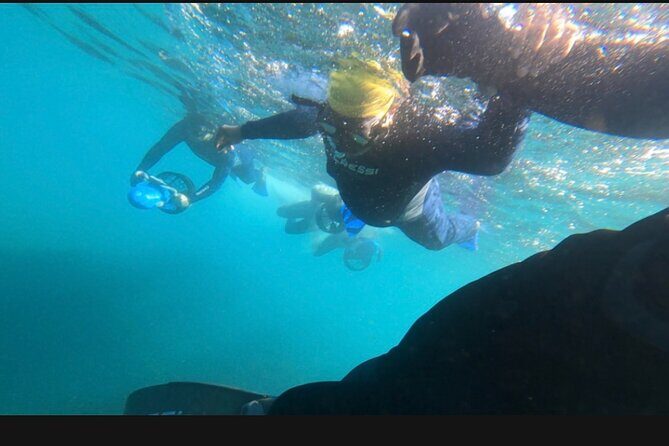 Non Swimmers Discovery Tour ocean - A Detailed Look at the Non-Swimmers Discovery Tour