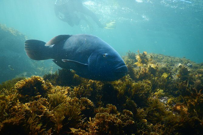Non Swimmers Discovery Tour ocean - Final Thoughts
