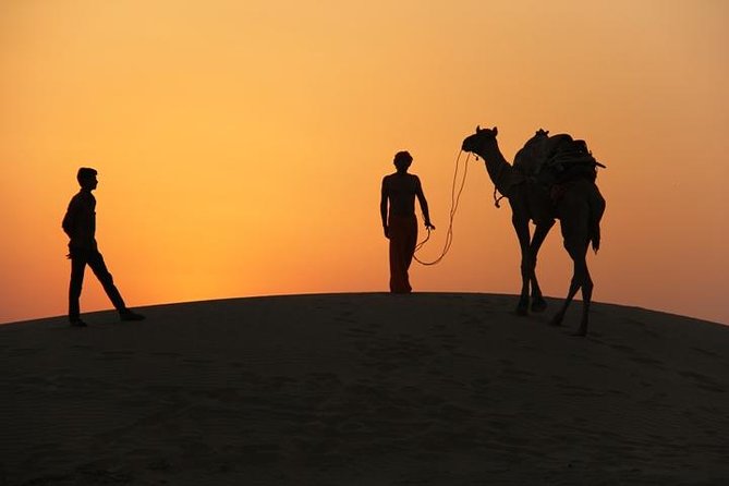 Non Touristic Half Day Camel Safari Thar Desert Sunset - Highlights of the Experience
