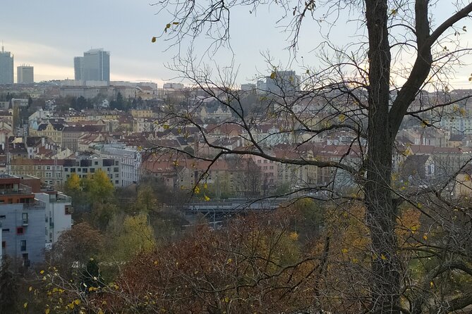 Non-touristy Prague - Cozy Neighborhoods - Private Tour - Discovering Pragues Contemporary Life