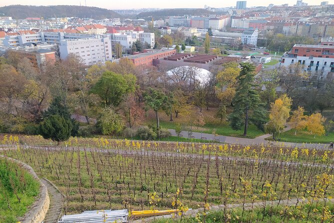 Non-touristy Prague - Cozy Neighborhoods - Private Tour - Inclusions and Pricing