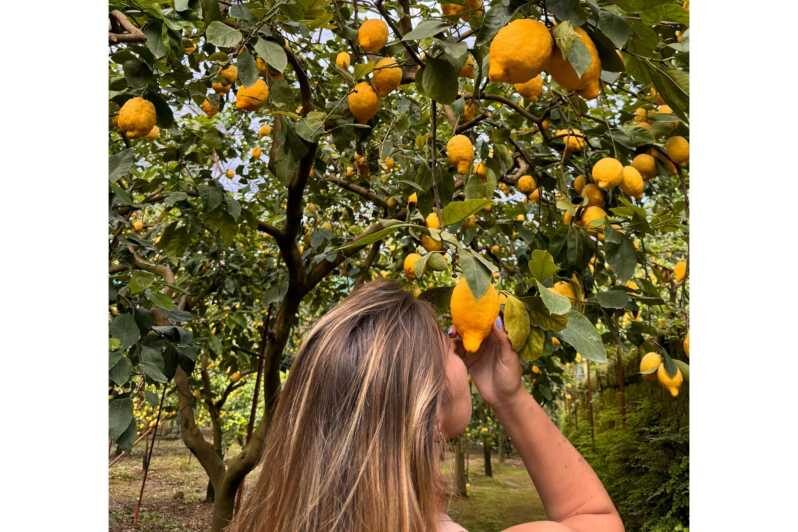 Nonno Mario Lemon Tour - What to Expect from the Nonno Mario Lemon Tour