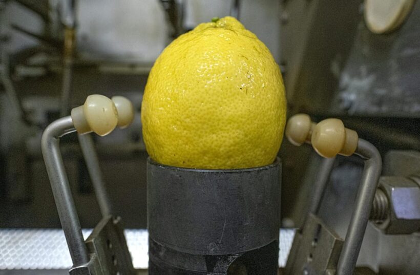 Nonno Mario Lemon Tour - Final Thoughts
