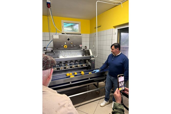 Nonno Mario Sorrento Lemon tour - What to Expect on the Tour