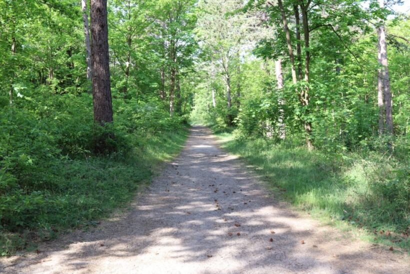 Noordwijk: Beach and Dunes Bike Tour - Exploring the Itinerary in Detail