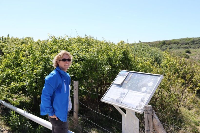 Noordwijk: Beach and Dunes Bike Tour - Who Should Consider This Tour?