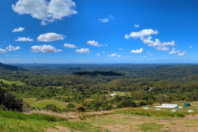 Noosa, Aussie Animals & Glass House Mountains from Brisbane - Who Should Take This Tour?