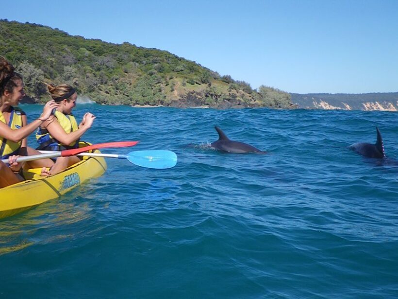 Noosa: Dolphin Sea Kayak & Beach 4X4 Tour (in National Park) - An In-Depth Look at the Tour