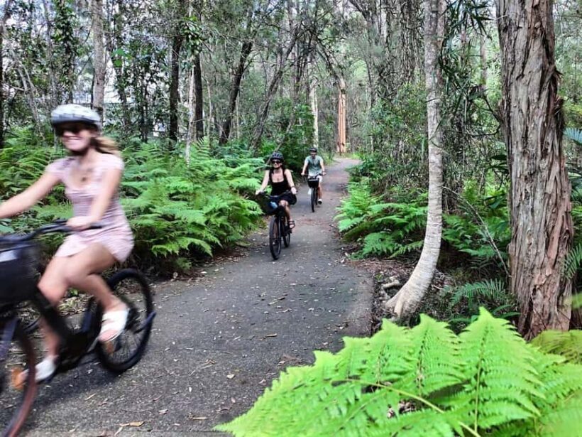 Noosa: E-Bike Tour from Mt Tinbeerwah to Noosa - Who Will Appreciate This Tour?