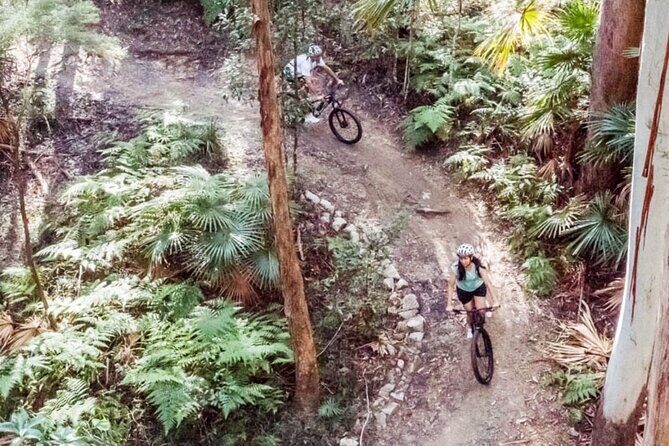 Noosa eMtn Bike Tour: Exploring a National Park on Fun MTB Trails - Personalized Group Experience