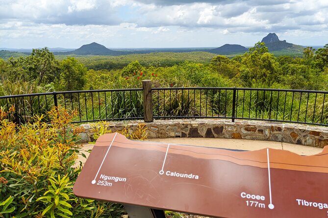 Noosa, Eumundi Markets, Glass House Mountains from Brisbane - Transportation and Group Dynamics