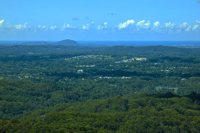 Noosa, Eumundi Markets, Glass House Mountains from Brisbane - The Sum Up