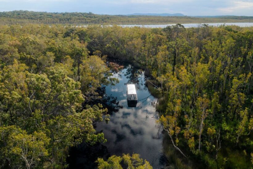 Noosa: Everglades Explorer Cruise - An Authentic Journey Through Australia’s Only Everglades