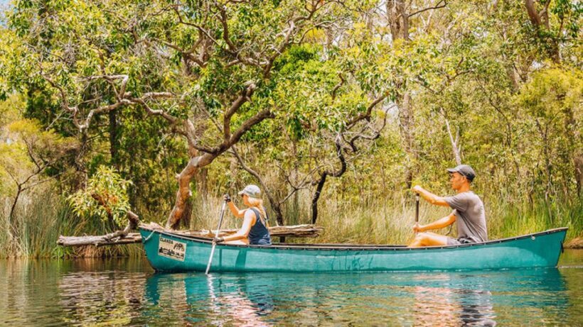 Noosa: Everglades Explorer Cruise - FAQ