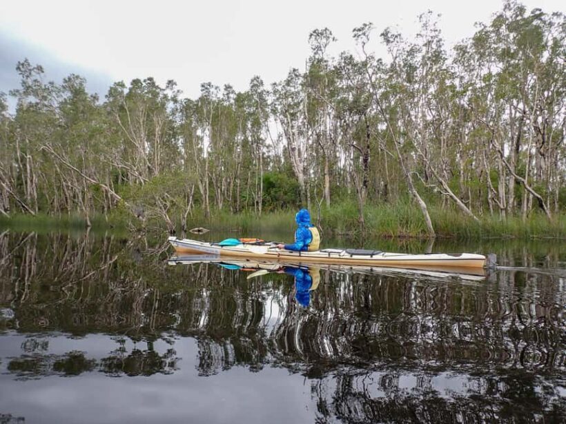 Noosa Everglades: Truly Sustainable Self Guided KAYAK Tour - Exploring the Landscape and Wildlife