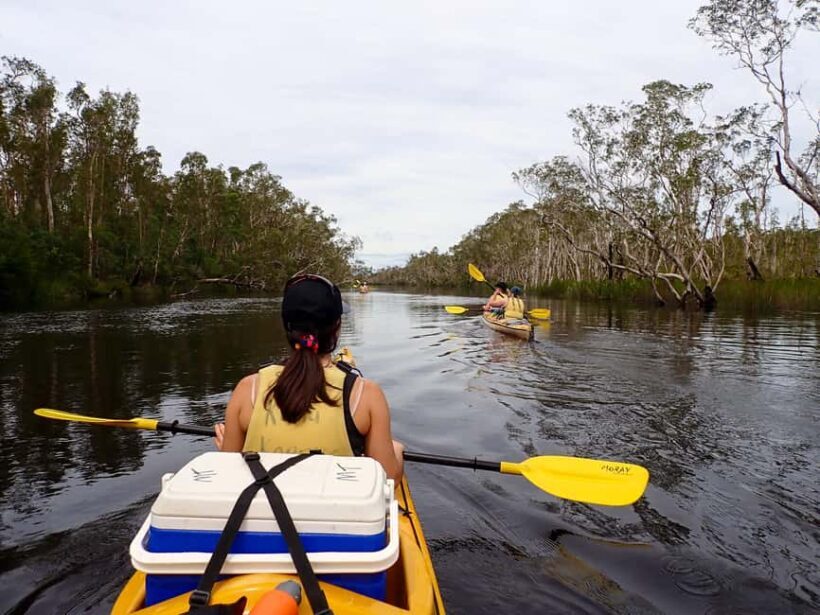 Noosa Everglades: Truly Sustainable Self Guided KAYAK Tour - Final Thoughts