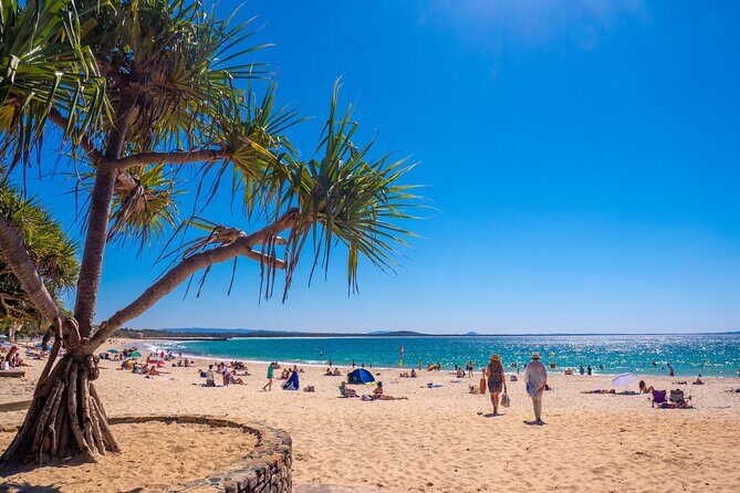 Noosa Heads and Eumundi Markets Private Tour from Brisbane - The Sum Up